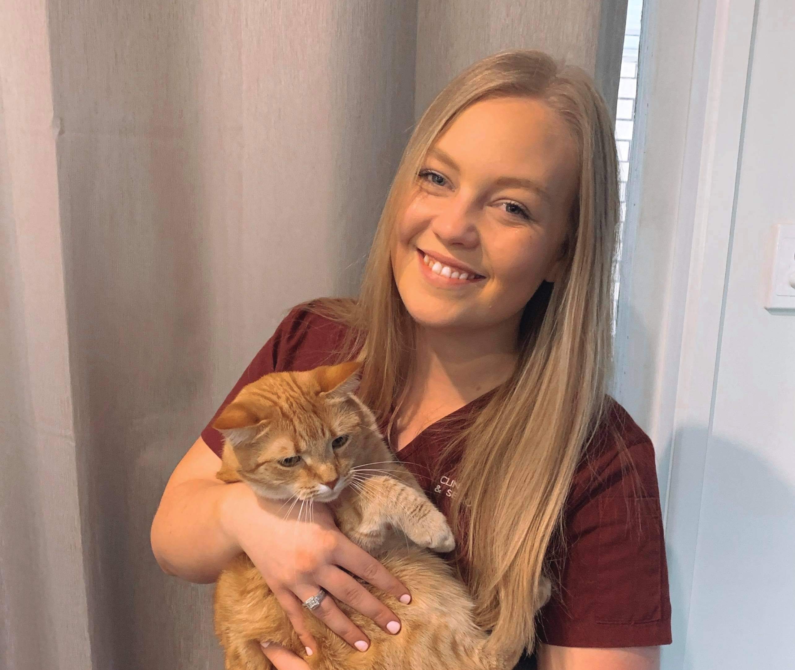 Cabdice - Karalee Village Vet Clinic, Ipswich Vet Group