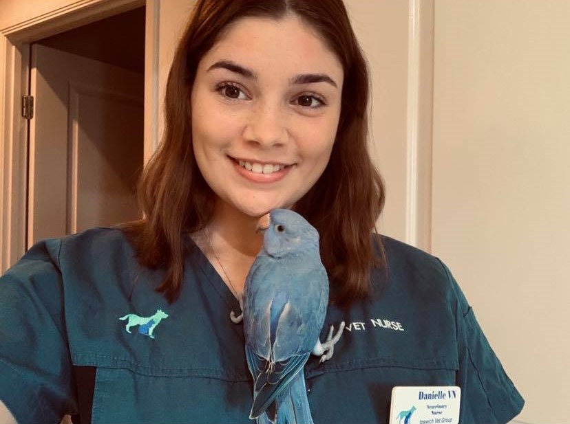 Danielle - Karalee Village Vet Clinic, Ipswich Vet Group